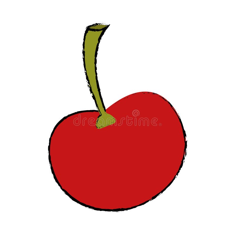 Ripe Cherry Fruit Nature Design Drawing Stock Vector - Illustration of ...