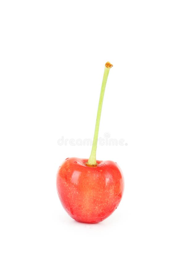 Ripe cherry stock image. Image of closeup, macro, spring - 67779779
