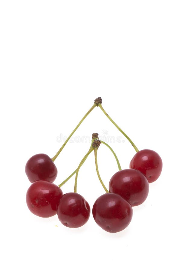 Ripe cherry isolated stock photo. Image of delicious - 224724848