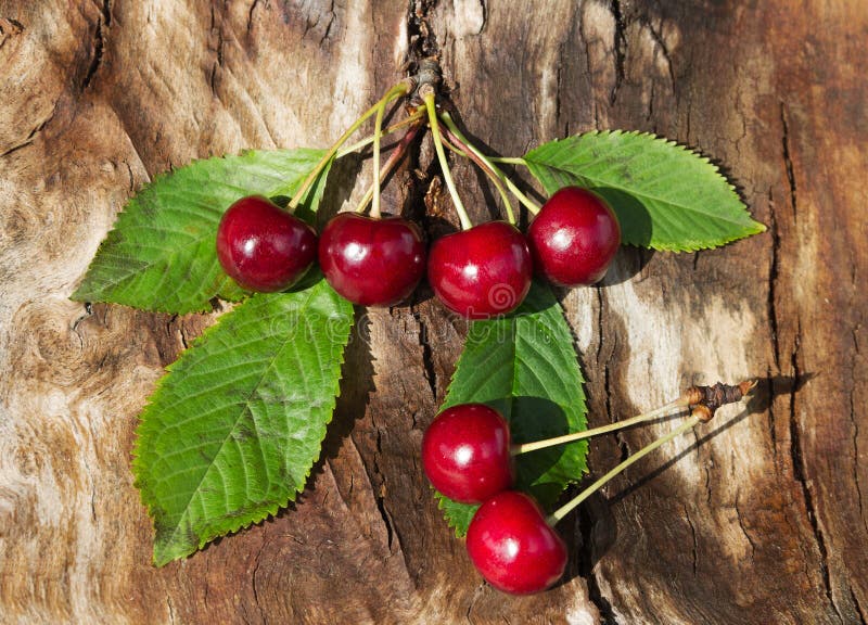 Ripe cherry. stock image. Image of juicy, berry, macro - 58473083