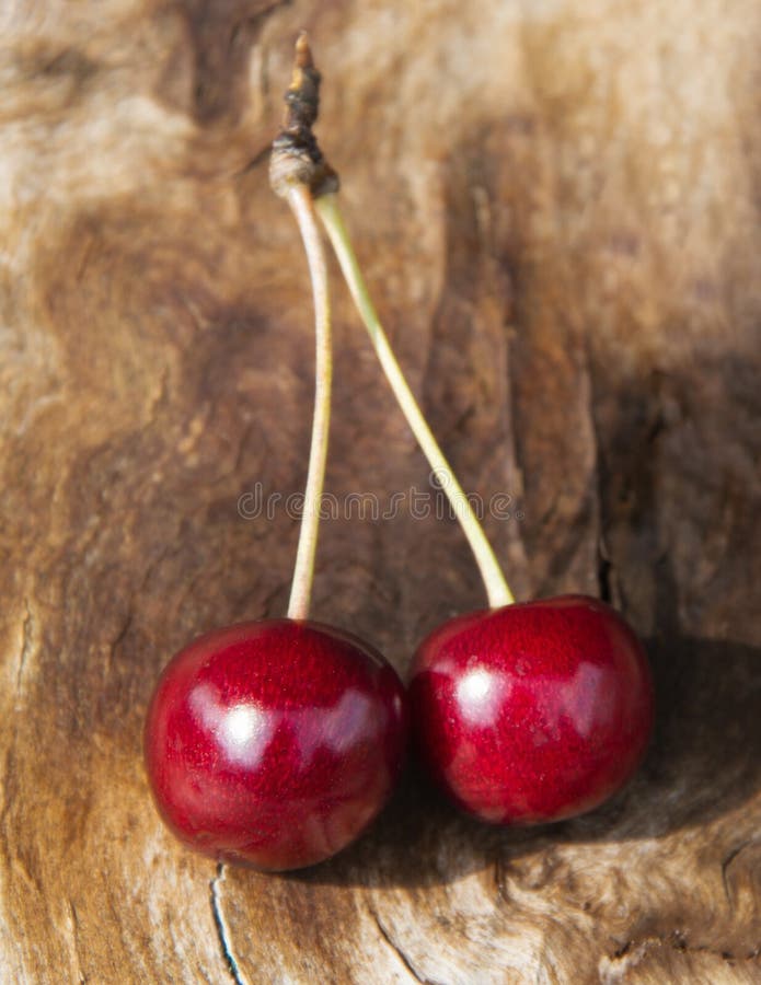 Ripe cherry. stock photo. Image of juicy, harvest, dark - 58473668