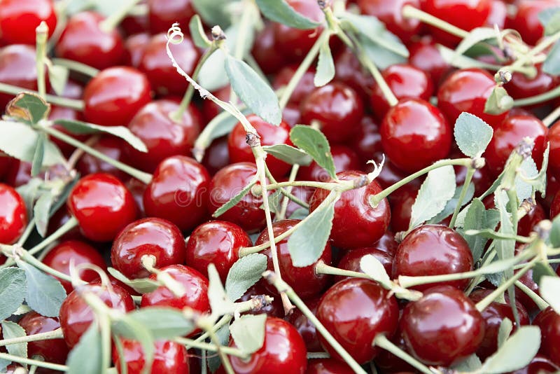 Ripe cherry texture stock image. Image of fresh, horizontal - 122183497