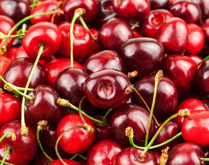 Ripe cherry texture stock photo. Image of healthy, isolated - 63412226
