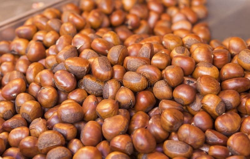 Ripe Chestnuts Favorite Food for Everybody Stock Photo - Image of ...