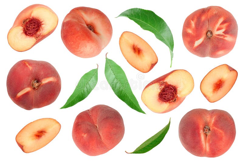 Squashed Doughnut Stock Photos - Free & Royalty-Free Stock Photos from ...