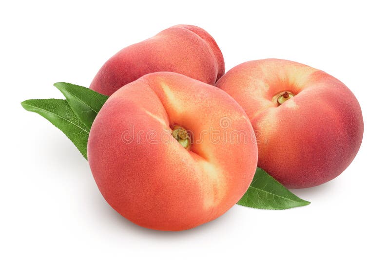 Squashed Field Stock Photos - Free & Royalty-Free Stock Photos from ...