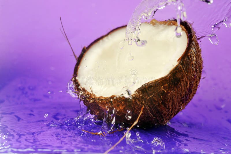 Coconut with water splash stock image. Image of water - 12688093