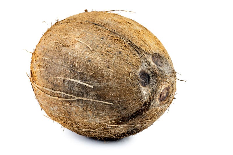 Ripe Coconut Isolated on White Stock Photo - Image of nature, healthy ...