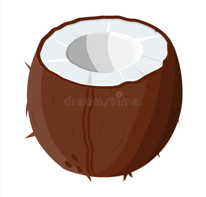 Ripe Coconuts and Half Coconut on White. Stock Vector - Illustration of ... Ripe Coconuts and Half Coconut on White. Stock Vector - Illustration of ...
