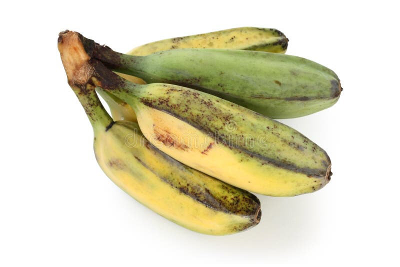 Cooking Banana, Rulo, this Fruit is Like a Green Platano but More ...