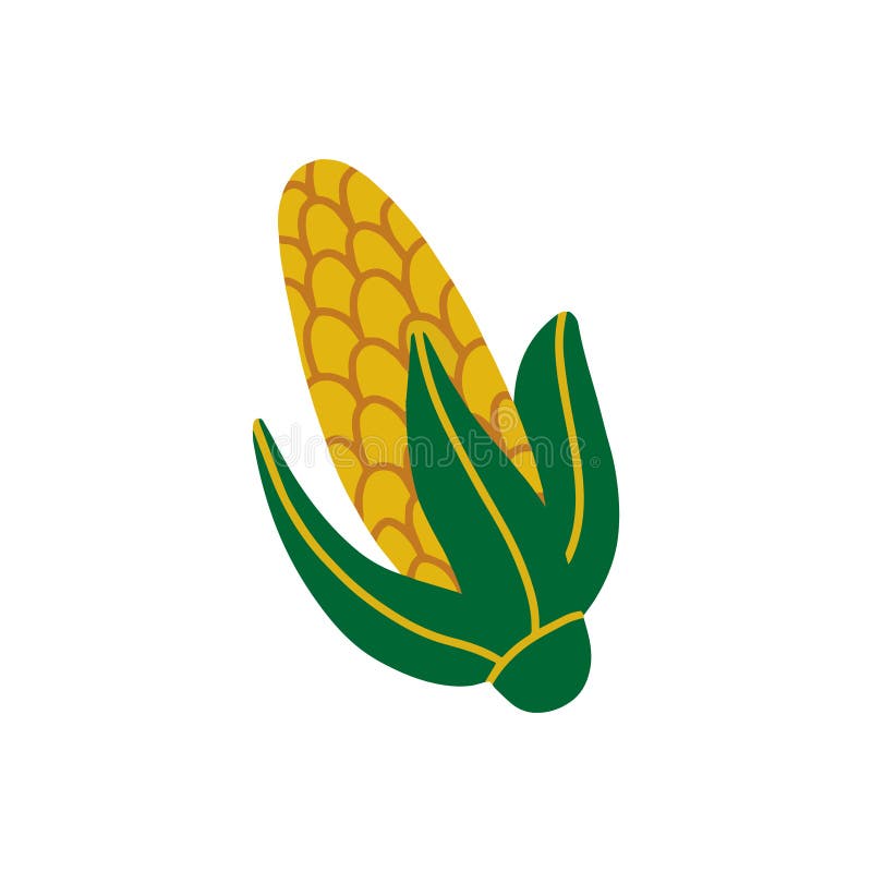 Ripe Corn.Simple Vector Illustration Stock Vector - Illustration of ...