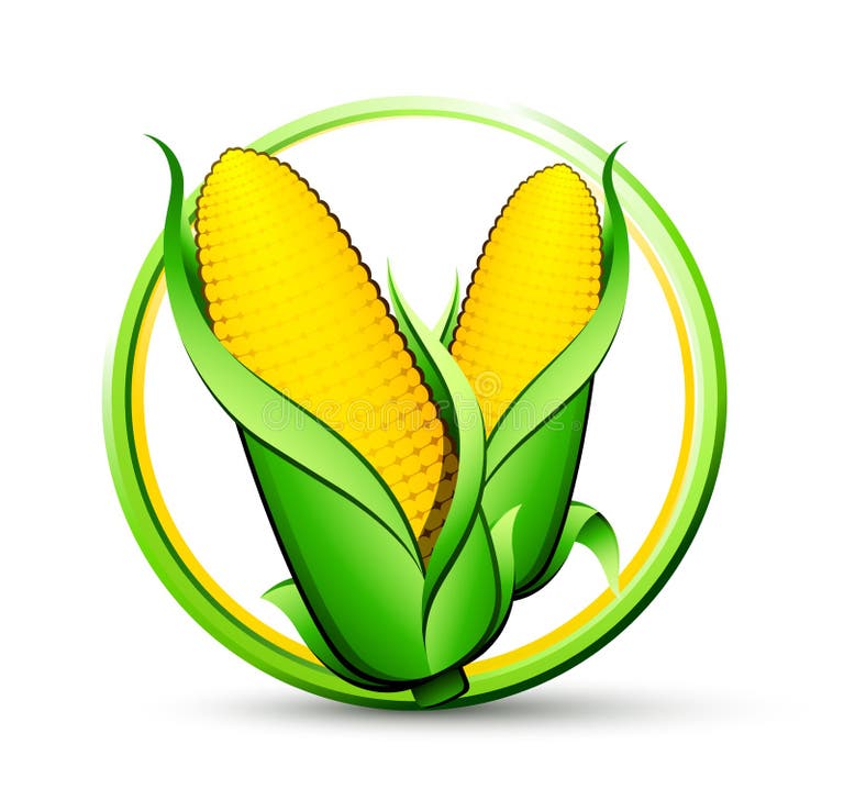 Ripe corn button stock vector. Illustration of icon, button - 16684819
