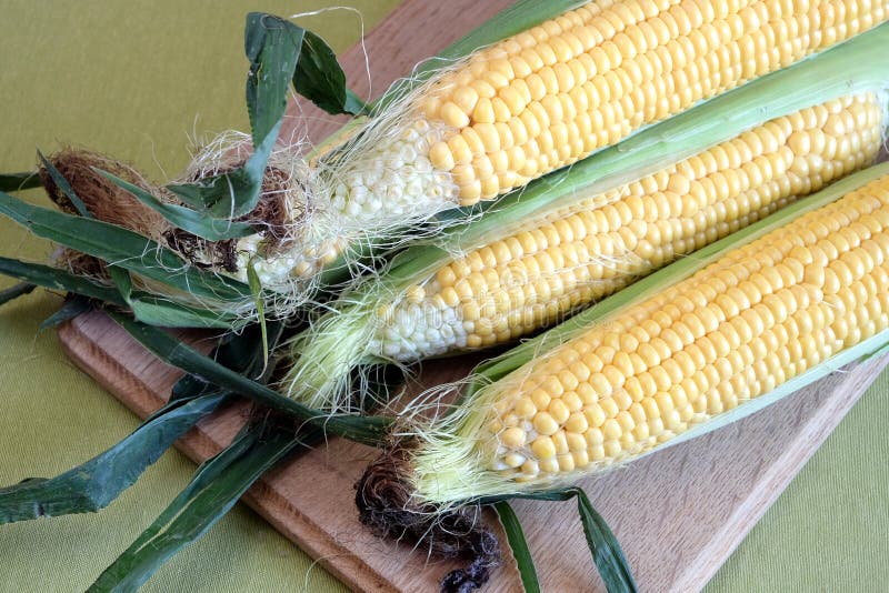 Ripe Corn on the Cob on Wooden Cutting Board Side View Stock Photo ...