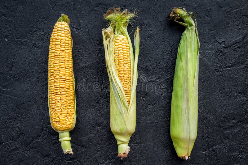 Ripe Corn on Cobs on Black Stone Background Top View Stock Image ...