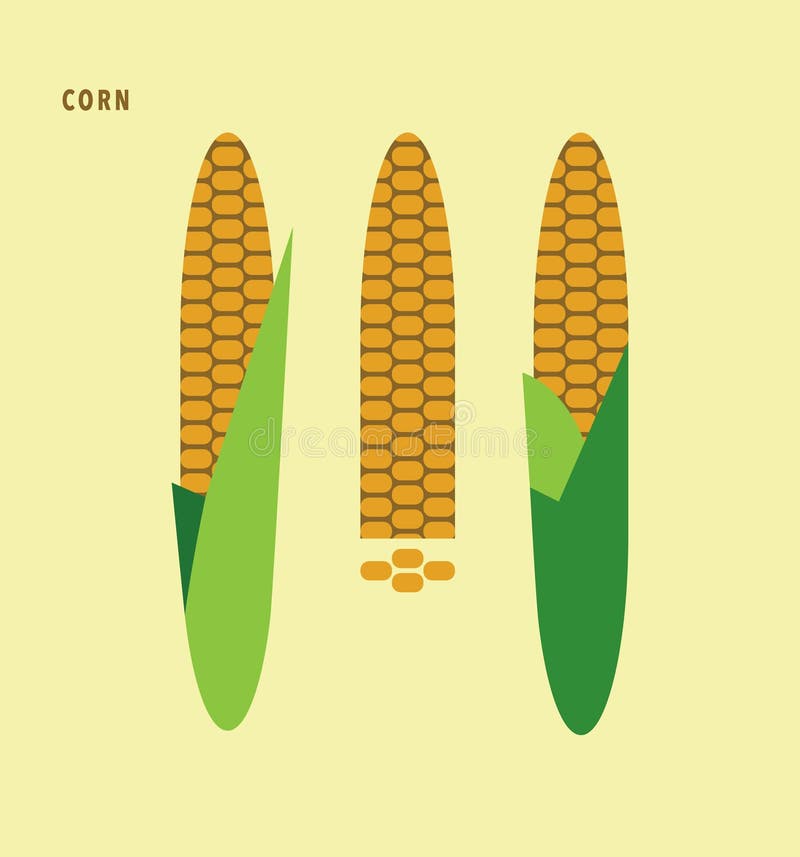 Ripe Corn Cobs, Corn Seeds. Set of Fresh Vegetable, Isolated, Label ... Ripe Corn Cobs, Corn Seeds. Set of Fresh Vegetable, Isolated, Label ...
