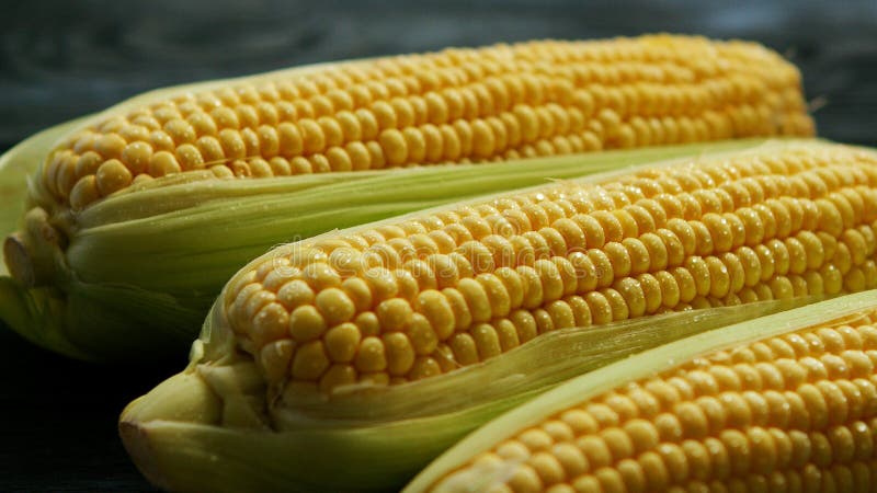 Ripe corn ears with leaves stock photo. Image of composition - 126882626