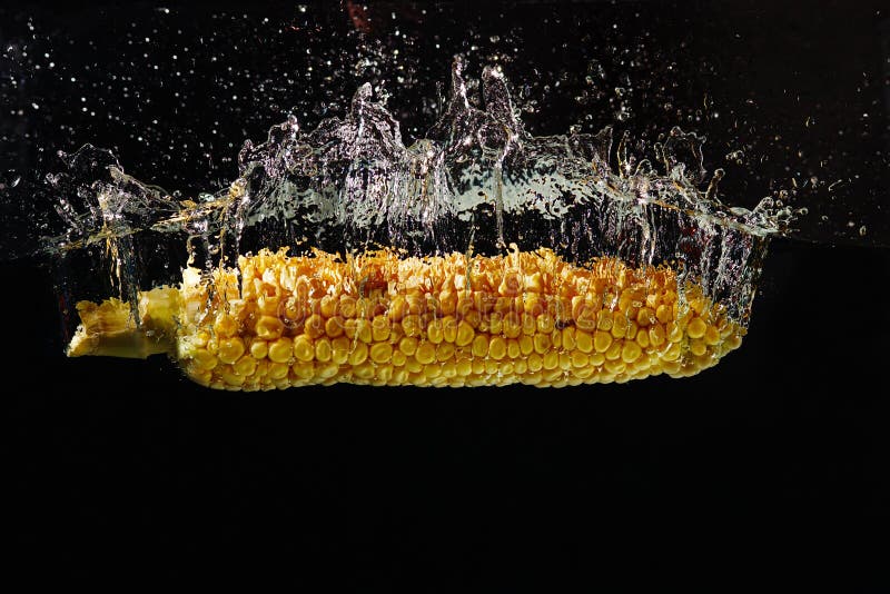 Corn Falling into the Water with a Splash Stock Image - Image of health ...