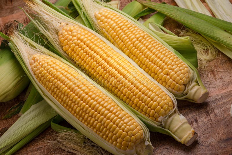 Ripe Corn Heads with Corn Whiskers and Leaves Stock Image - Image of ...