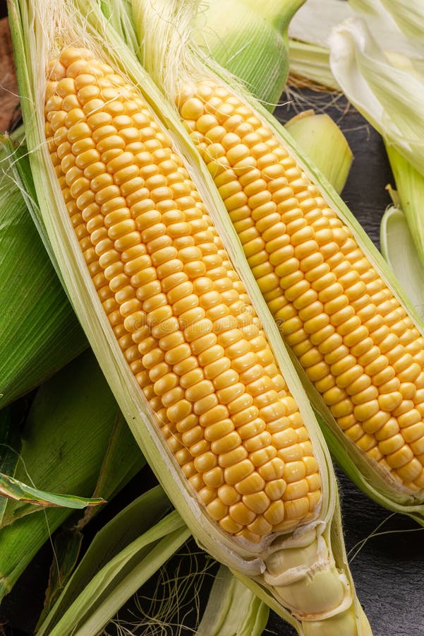 Ripe Corn Heads with Corn Whiskers and Leaves Stock Image - Image of ...