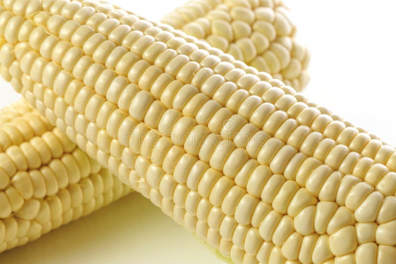 Ripe corn stock image. Image of angiosperms, delicacy - 123452325