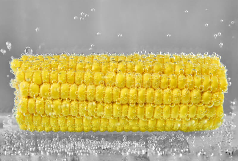 Ripe corn in water stock photo. Image of vitamin, ingredient - 71970708