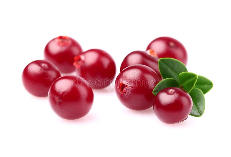 Ripe cranberry with leaves stock photo. Image of care - 28353882