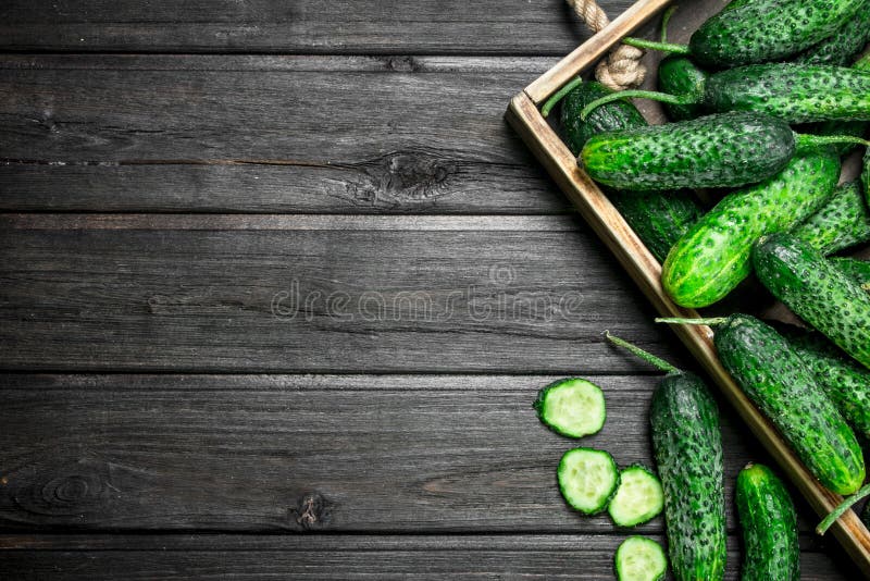 Ripe cucumber on a tray stock image. Image of vegetable - 141761957