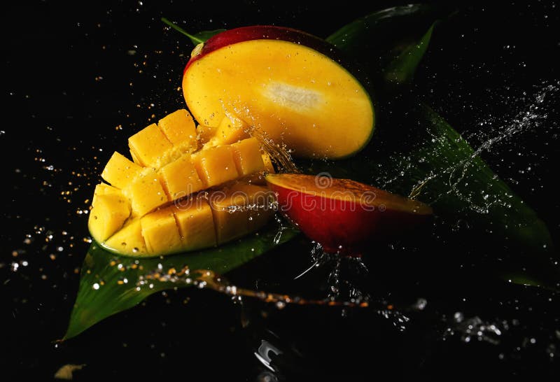Ripe Cut Mango with Water Splash on Dark Background Stock Photo - Image ...