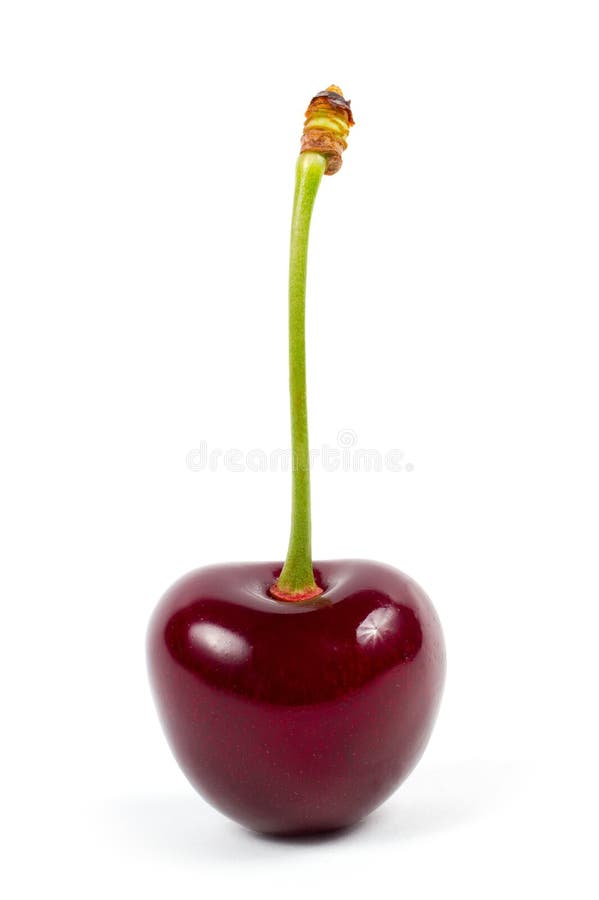 Ripe Dark Red Cherry on a White Background. Stock Image - Image of ripe ...