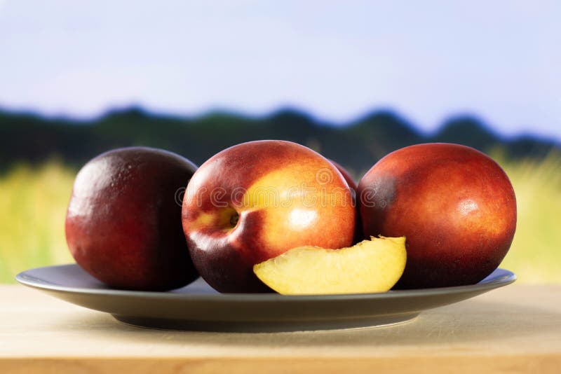 Red Nectarine on Grey Background. Close Up Macro View. Stock Photo ...