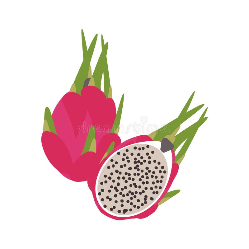 Ripe Dragon Fruit Whole and Half in Cut Stock Vector - Illustration of ...