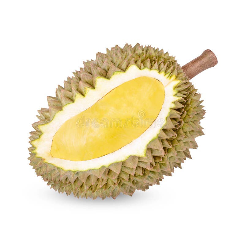 Ripe Durian Fruit Isolated on White Background Stock Image - Image of ...