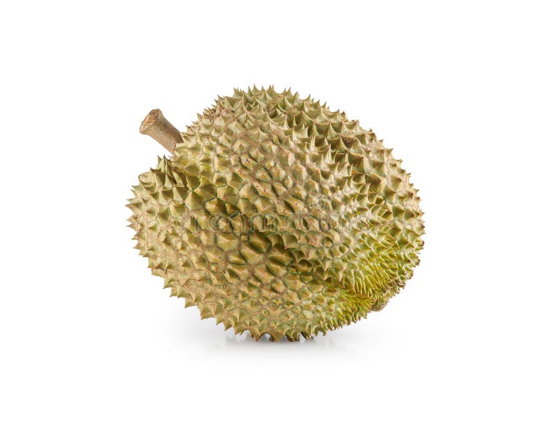 Ripe Durian Fruit Isolated on White Background. Clipping Path Stock ...