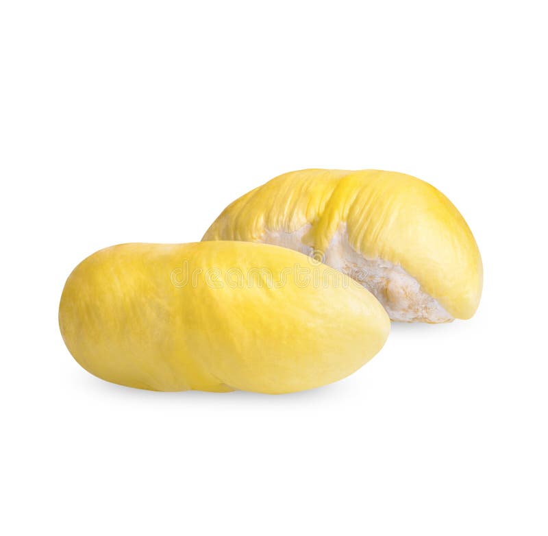 Ripe Durian Meat Isolated on White Background Stock Photo - Image of ...