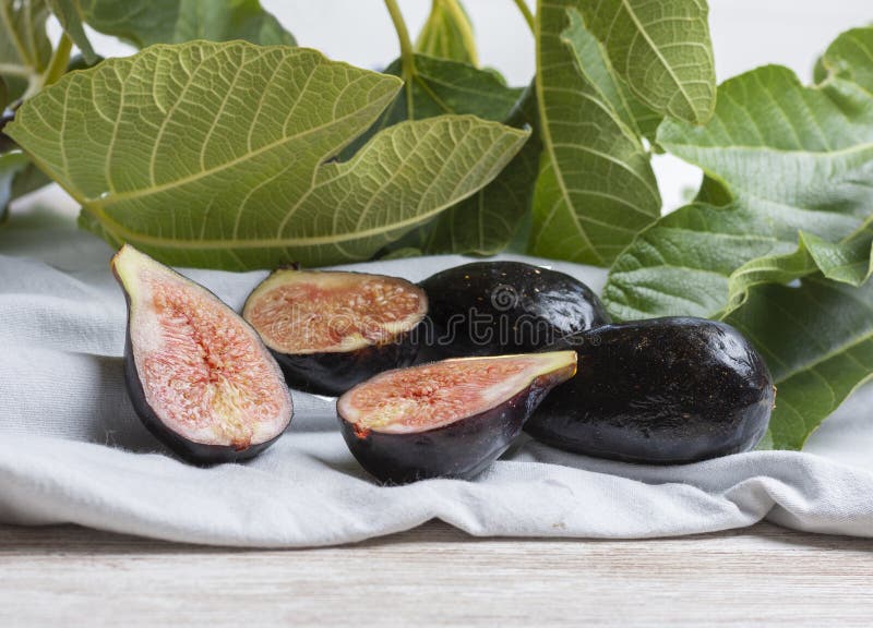Ripe Figs Freshly Picked from the Fig Tree - Image Stock Image - Image ...