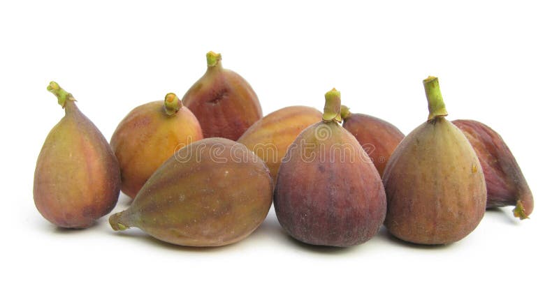 Ripe Figs Isolated on White Stock Photo - Image of white, figs: 10749672
