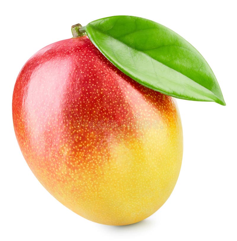Ripe fresh best mango stock image. Image of organic - 305752487