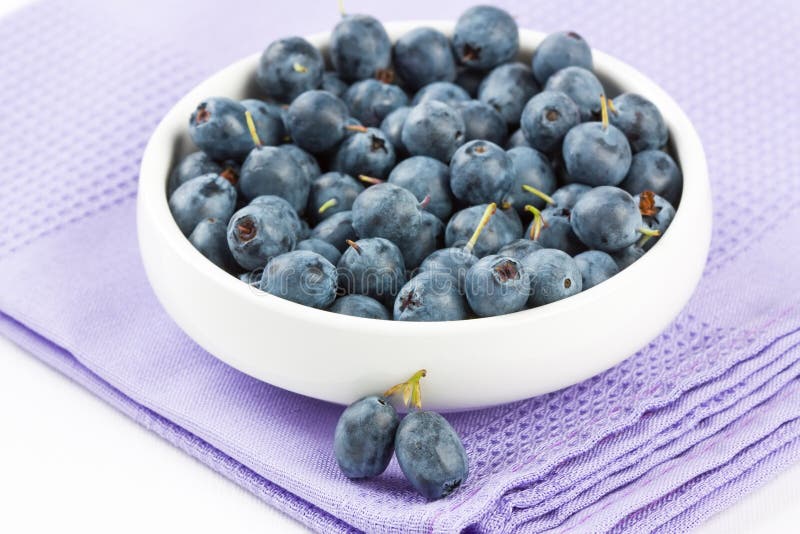 Ripe fresh blueberry stock photo. Image of delicious - 20539714