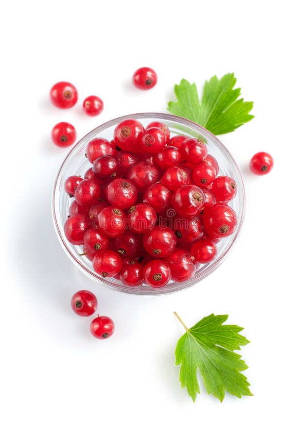 Ripe fresh red currants stock photo. Image of healthy - 73199888