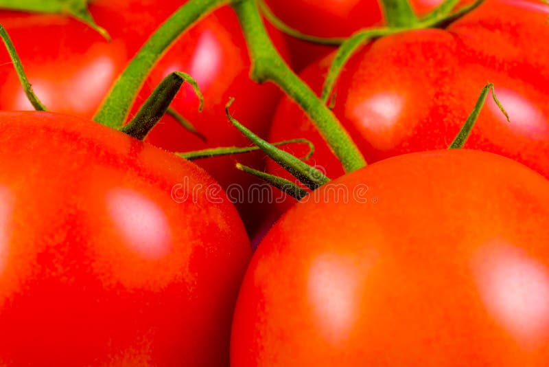 Ripe fresh red tomatoes stock image. Image of group, nature - 40985145