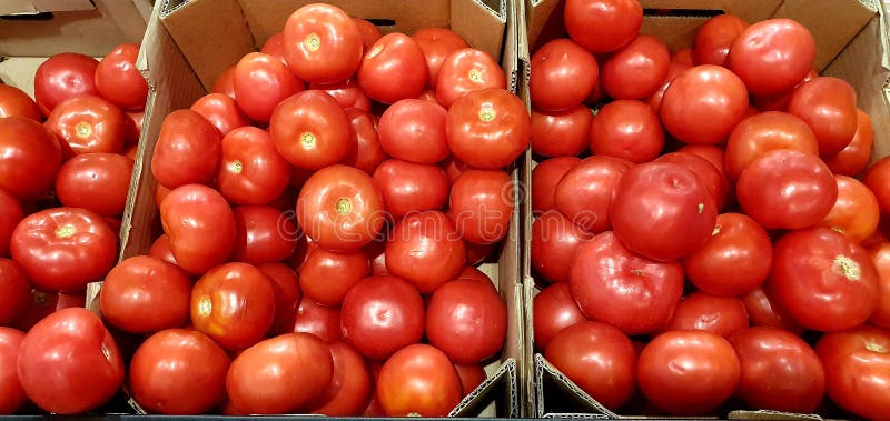 Ripe Fresh Tomatoes in Boxes in a Supermarket Stock Image - Image of ...