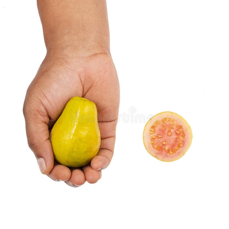 Ripe and Fresh Tropical Fruit Guava - Psidium Guajava Stock Image ...