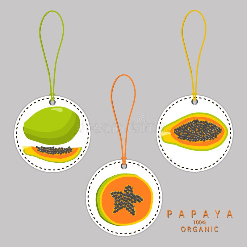 Ripe fruit papaya stock vector. Illustration of meal - 88712726