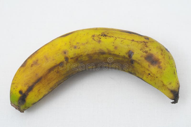 Ripe Fruit stock photo. Image of vitamin, grow, juice - 36777278