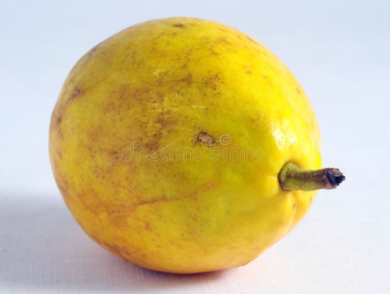 Ripe Fruit stock image. Image of unusual, vitamin, health - 246494561