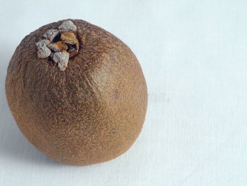 Ripe Fruit stock image. Image of fruit, kiwi, health - 245955773