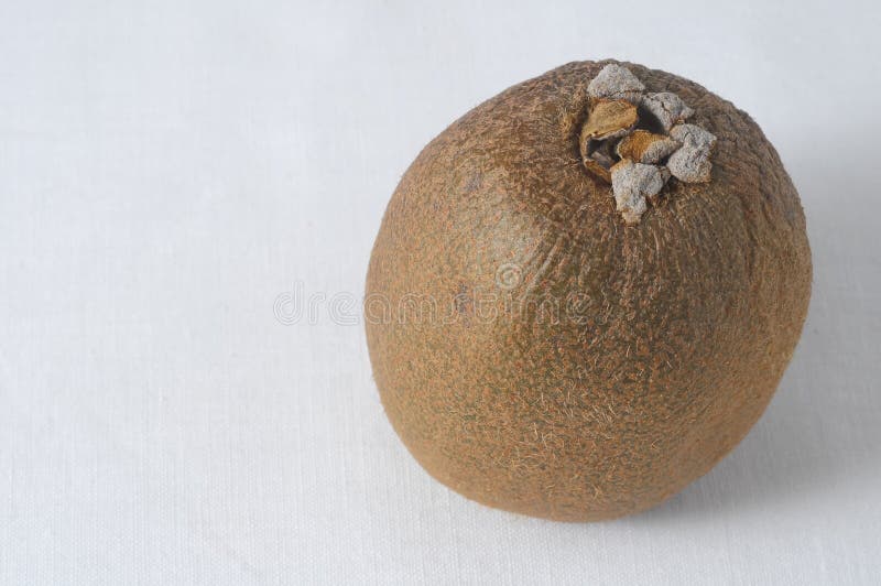 351 Very Ripe Kiwi Stock Photos - Free & Royalty-Free Stock Photos from ...