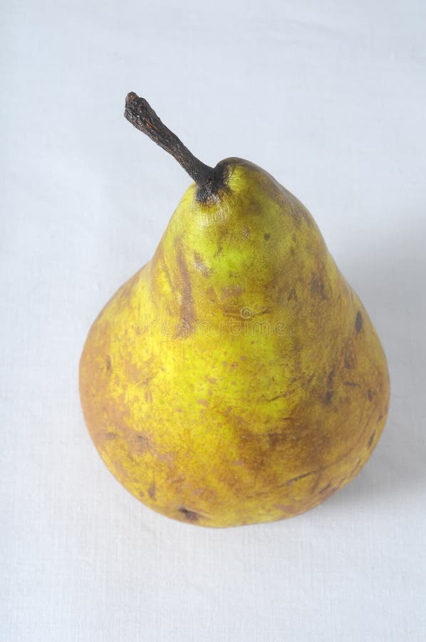 Ripe Fruit stock image. Image of juice, isolated, unusual - 37252681