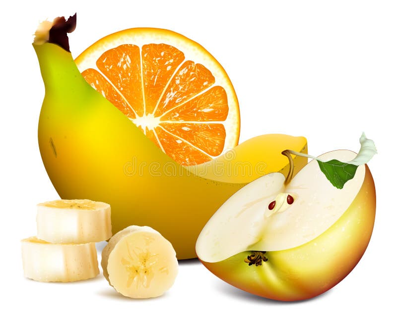 Fruits. stock vector. Illustration of garden, mature - 13142950