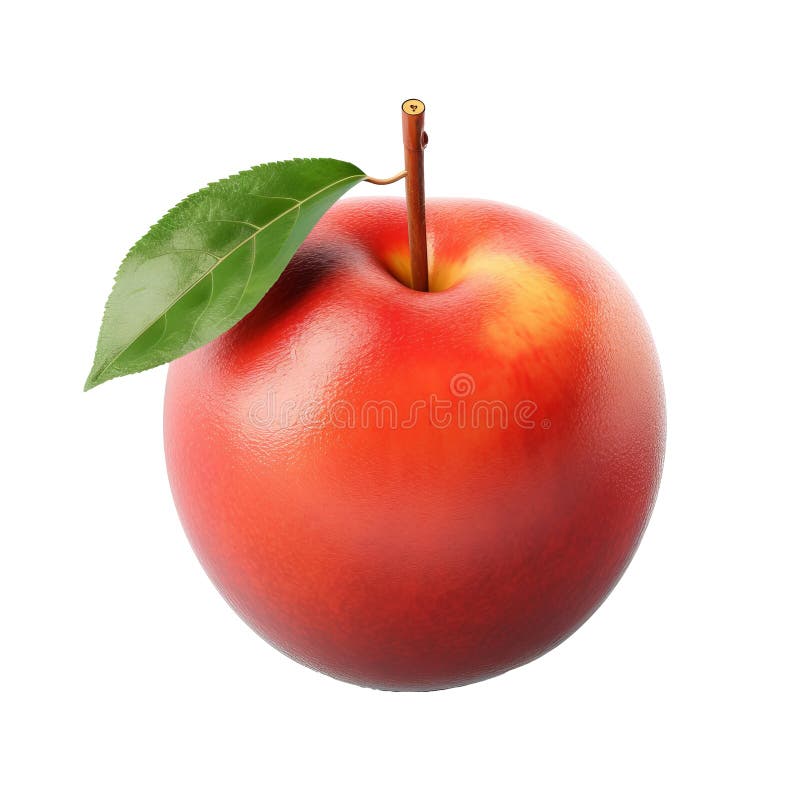 Ripe, Full-bodied Nectarine Fruit with a Smooth Surface and Vibrant ...